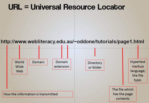Information and critical literacy on the web - SCIS